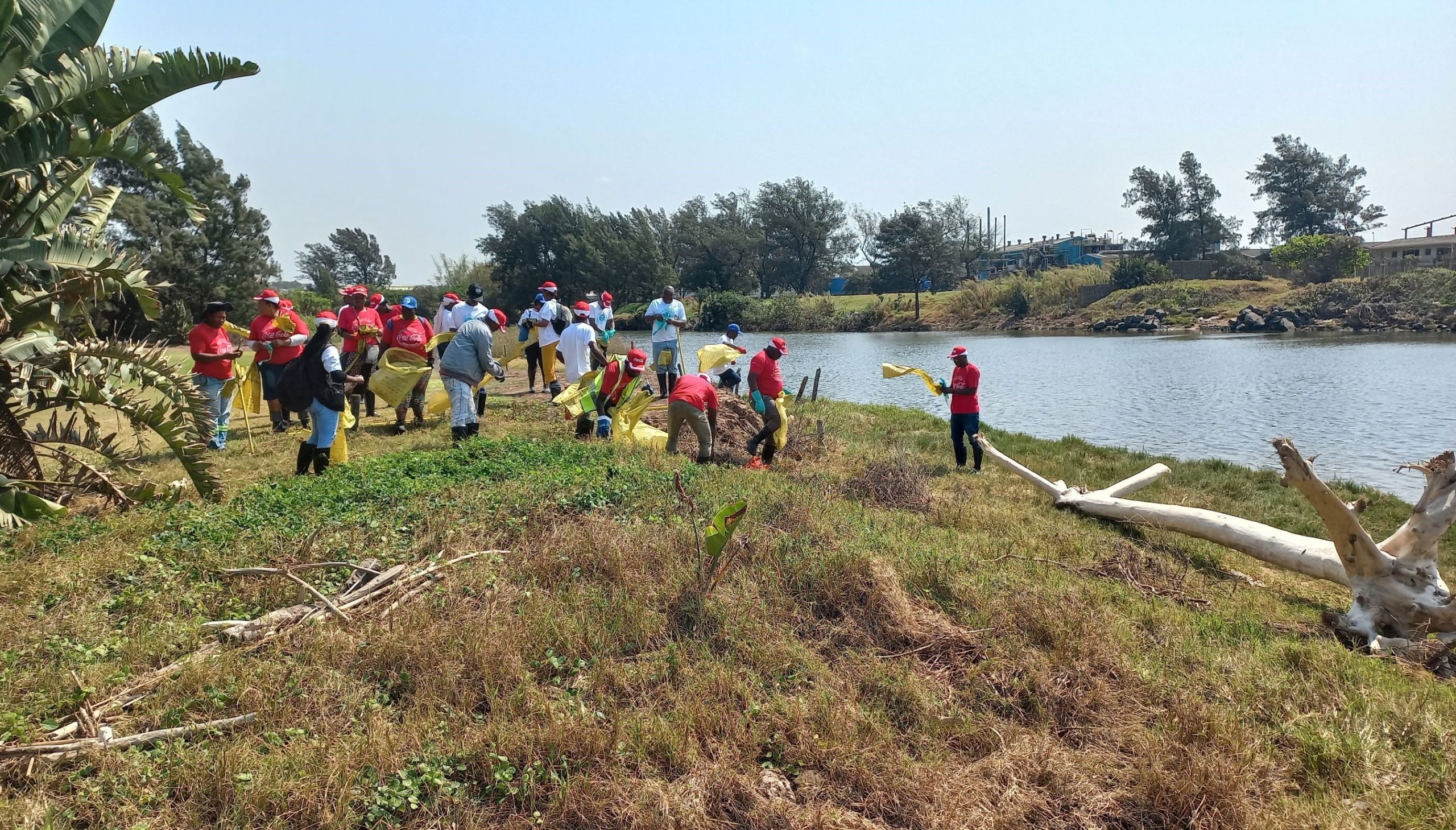 Volunteers Collect 1 000 Refuse Bags Of Waste In Coastal, River Clean ...