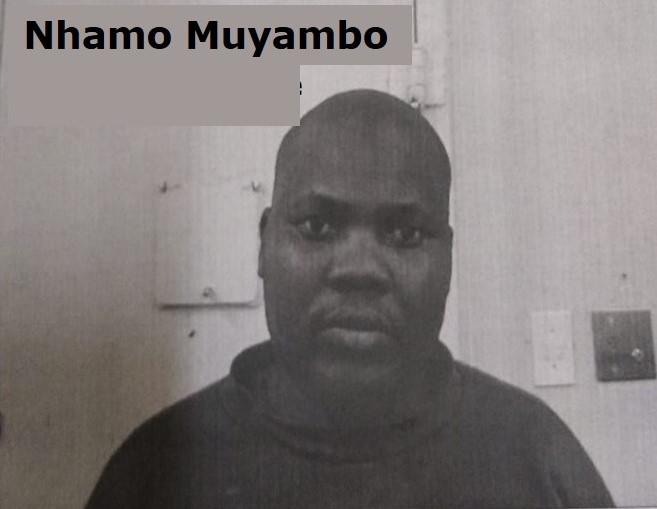 Rhino Poaching Accused 7 Escape From Grahamstown Correctional Facility ...
