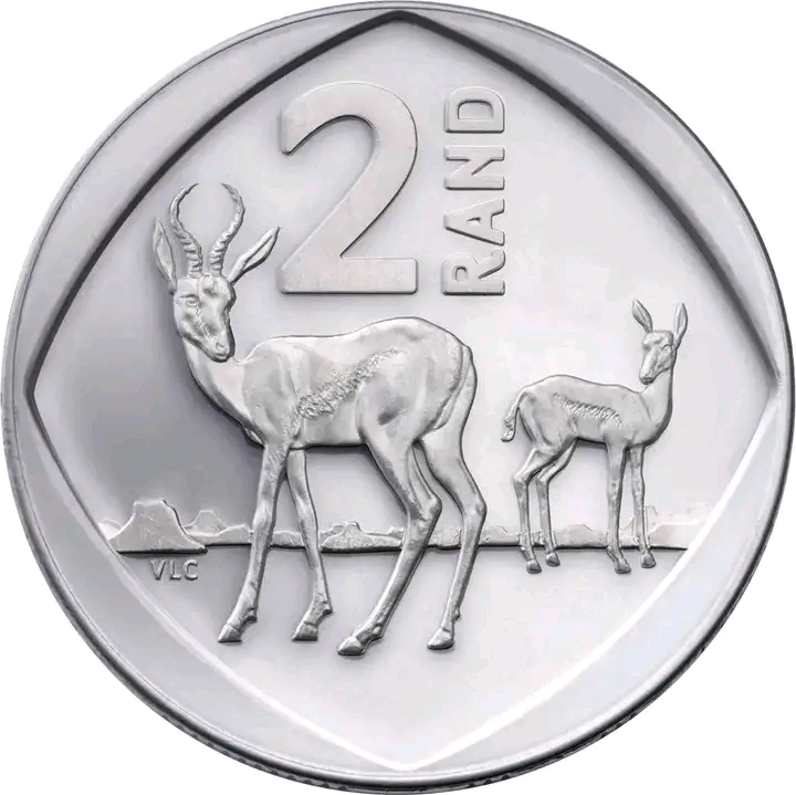 South African Reserve Bank Introduces News Banknotes, Coins - The Bulrushes