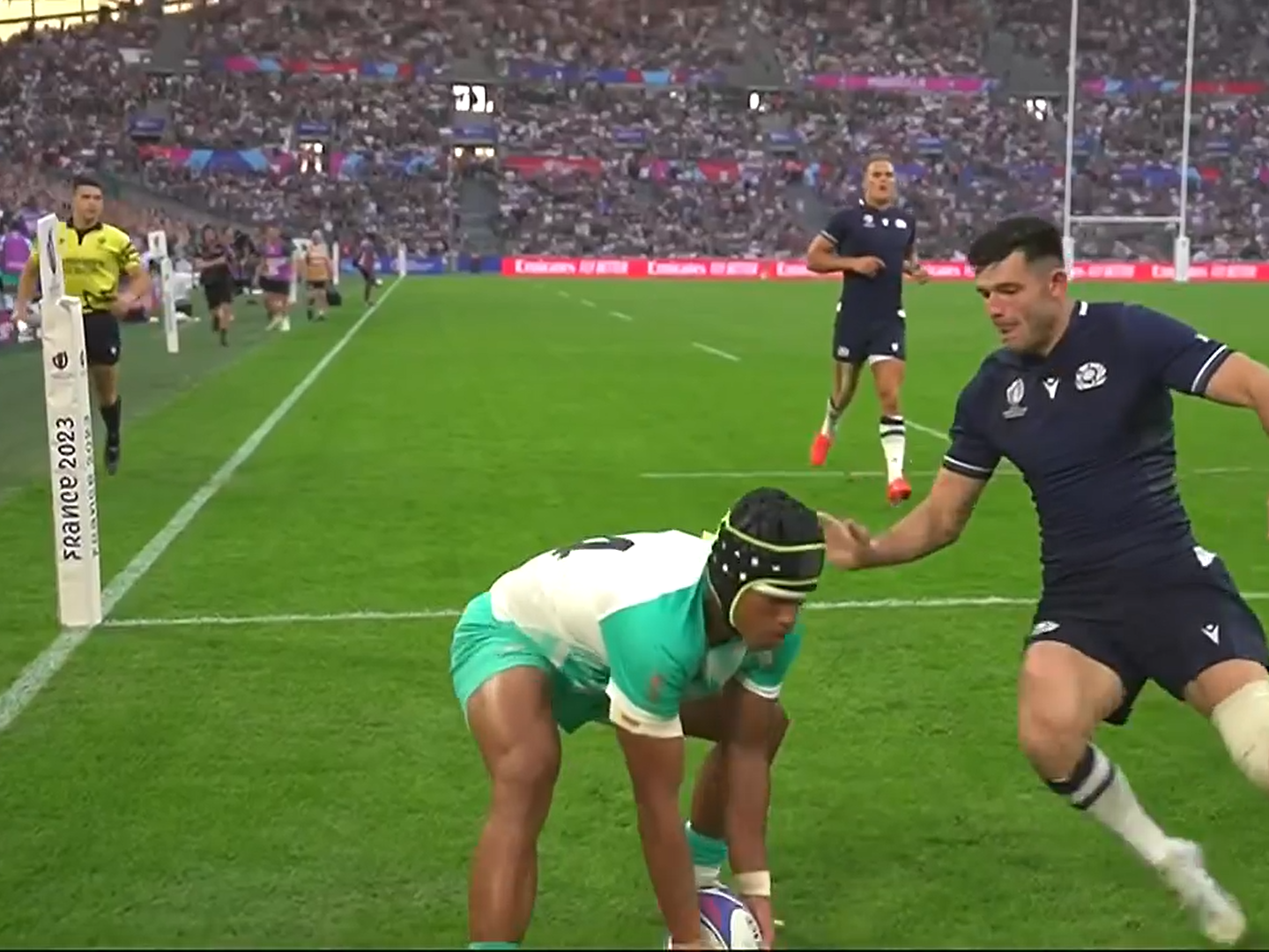 Rugby World Cup 2023: Springboks Overrun Scotland 18-3 - The Bulrushes