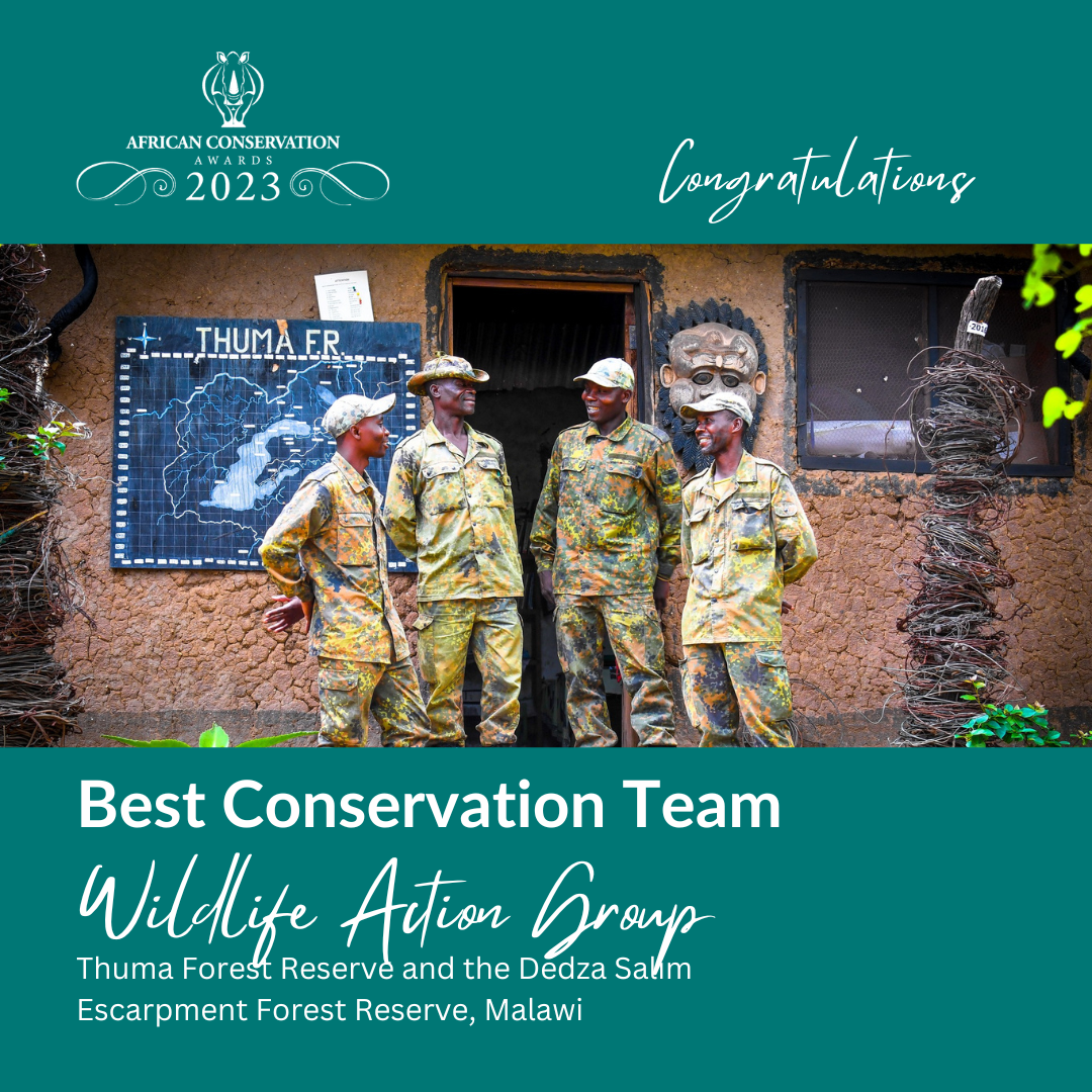African Conservation Awards 2023 Winners Announced - The Bulrushes
