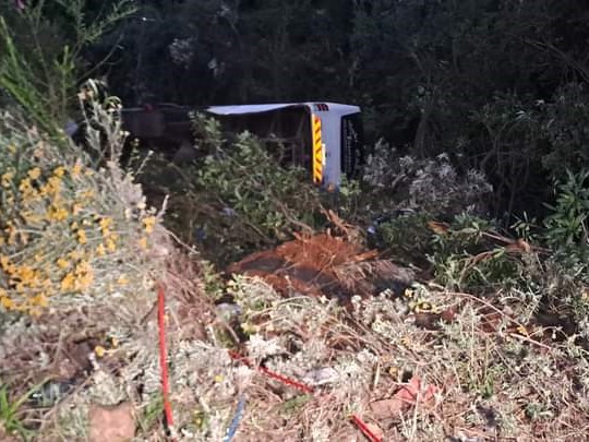 Horror Crash: 7 Dead, 52 Injured After Bus Careers Across Long Tom Pass ...