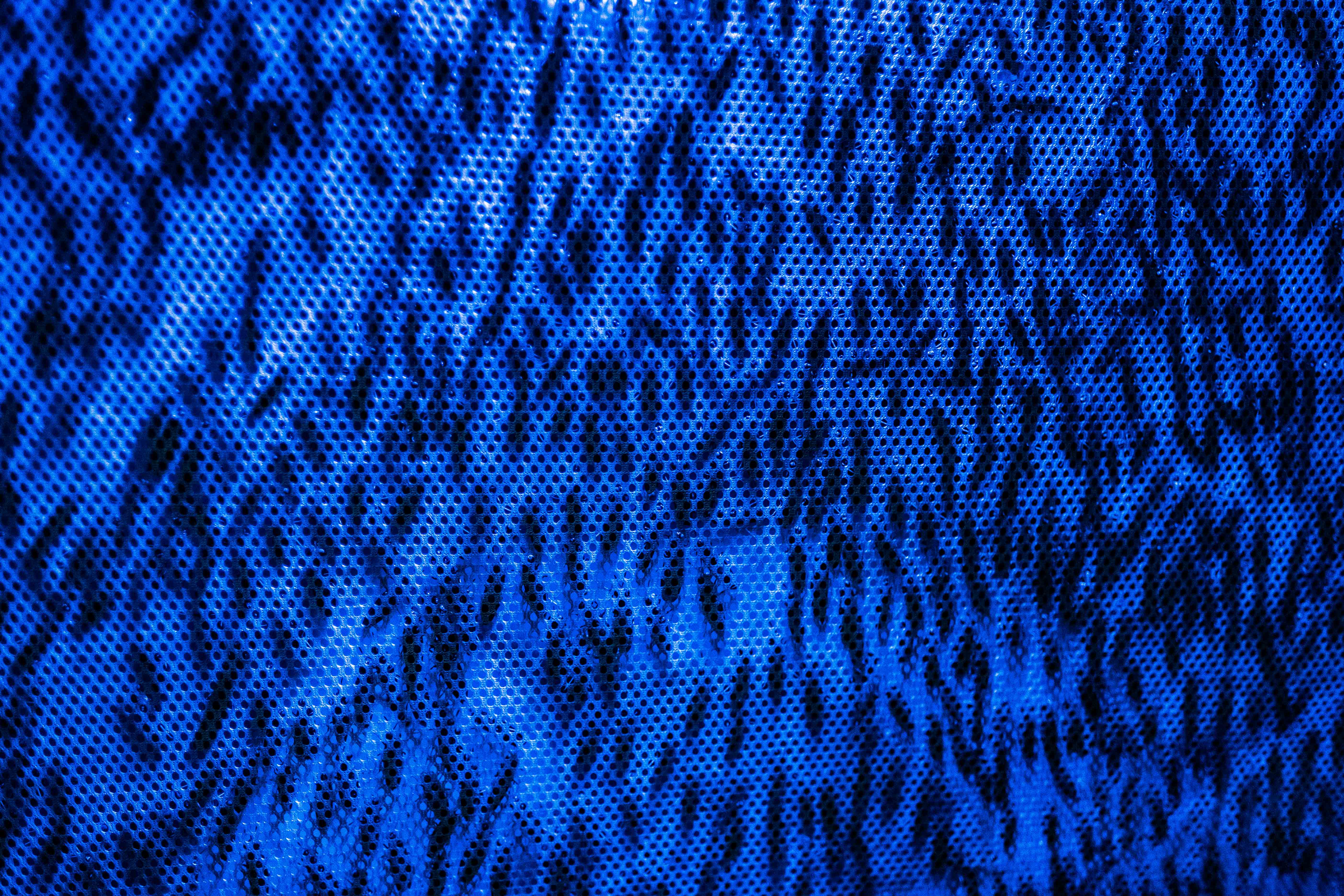 Maltento’s Black Soldier Fly Factory Opens World-Class Insect Bio ...