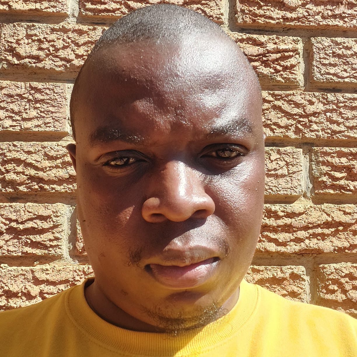 Home - The Bulrushes