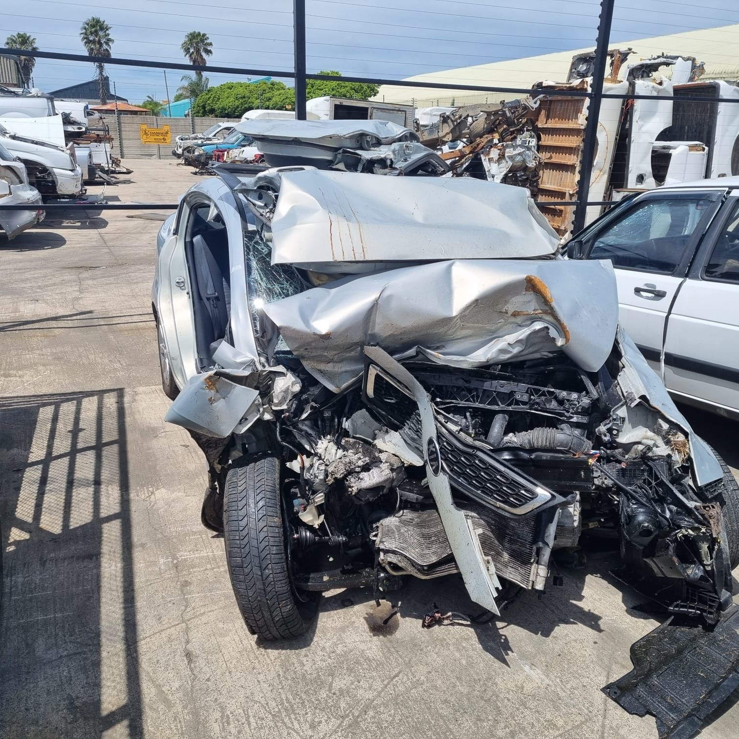 Danielle Van Jaarsveld's Death: AfriForum Probes Police Failure To ...