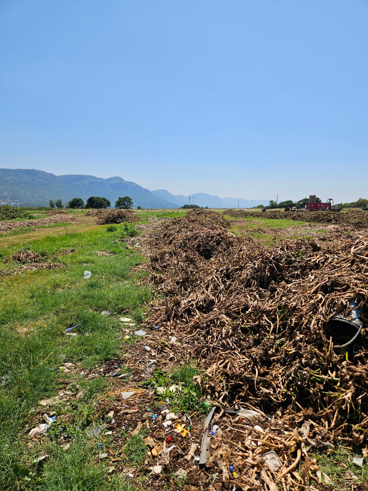 Hartbeespoort Dam Wall: Hyacinth Won't Pollute Crocodile River, Says ...