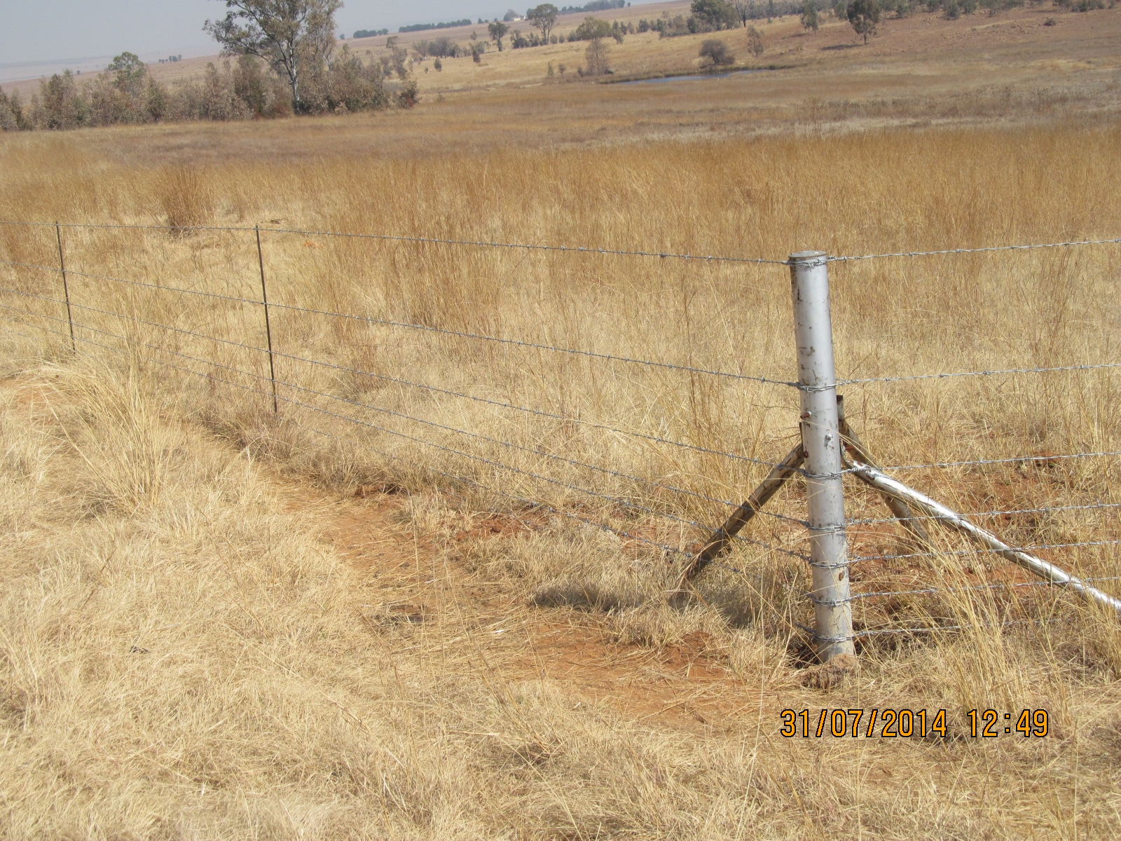 Gauteng Department Of Environment Calls For 'Inclusive Partnership ...