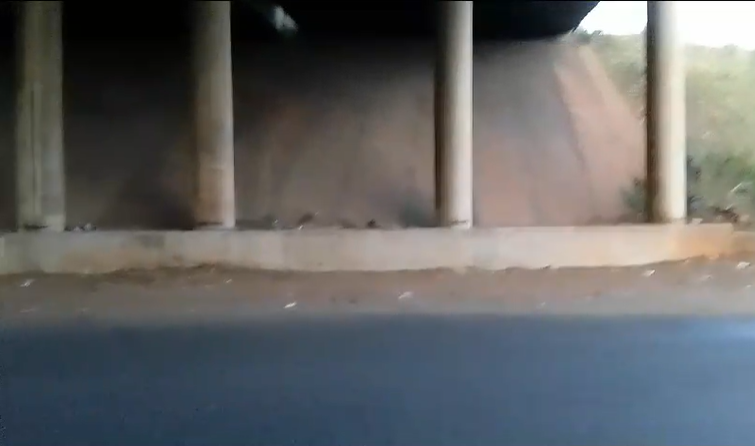 What Is Going On Under President Steyn Bridge, Have The Pillars Been ...