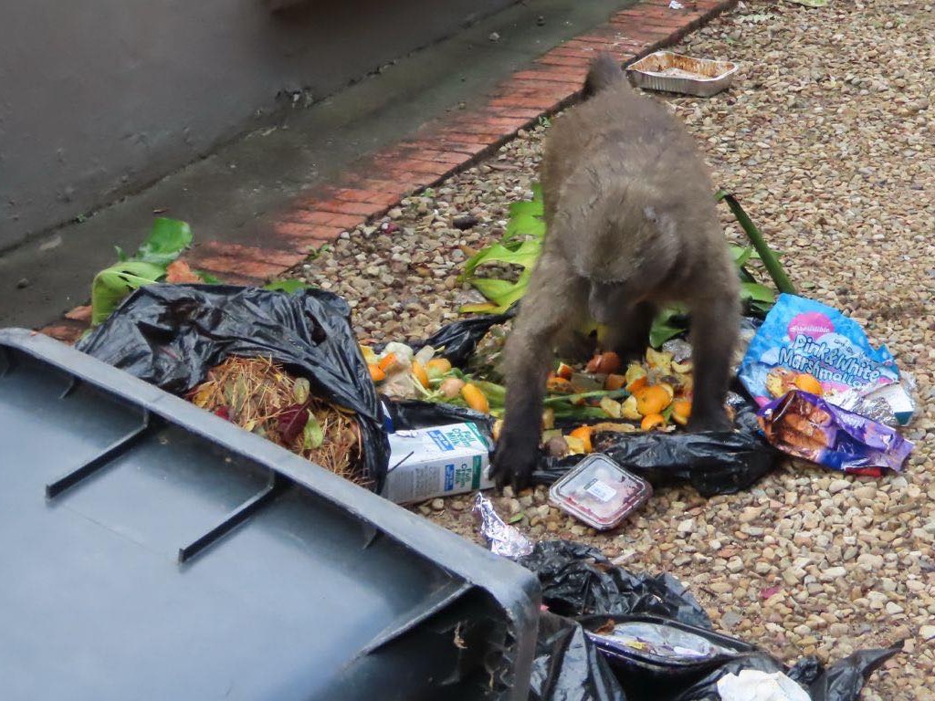 Reverend Frederick Samuel Modise's Meadowlands House Now A Heritage ...