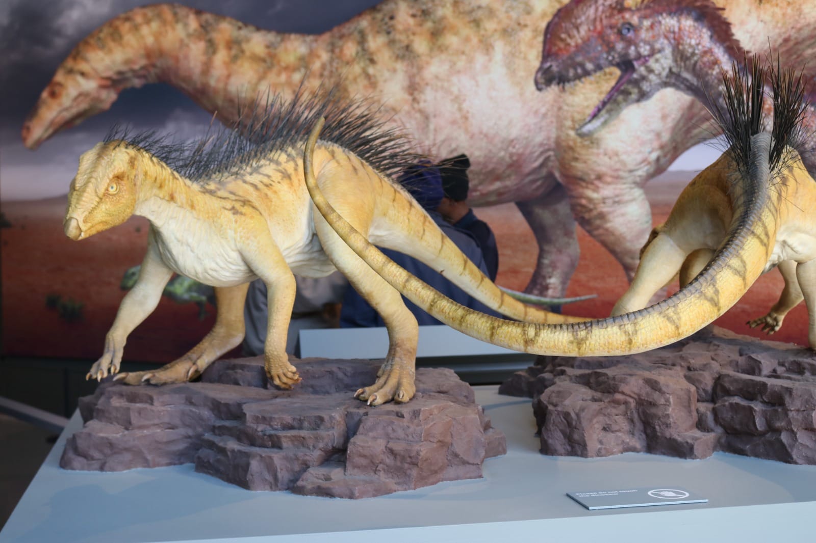 Free State: Minister Dion George Launches Kgodumodumo Dinosaur Interpretation Centre - The Bulrushes