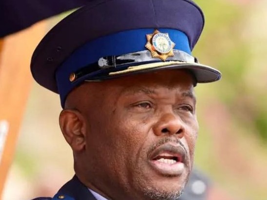 Lt. General Mkhwanazi Accusations: SAPS Lieutenant General Shadrack Sibiya Suspended - The Bulrushes