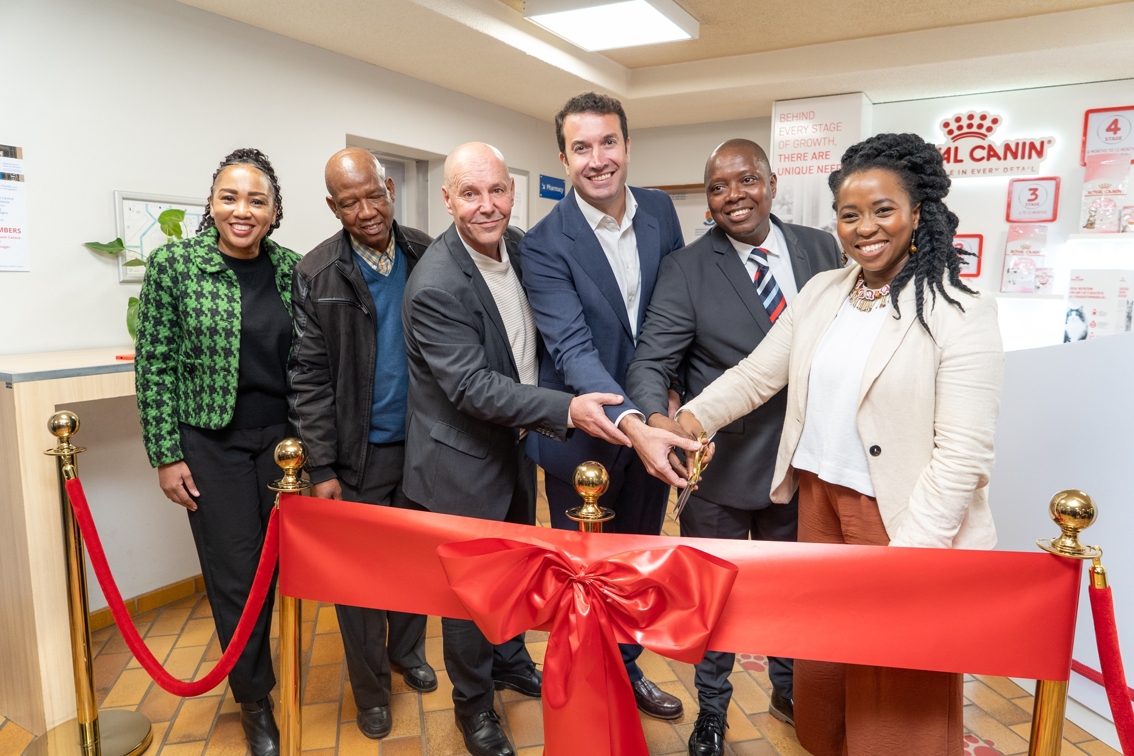 Gauteng's First Internationally Accredited Cat-Friendly Clinic Launches ...