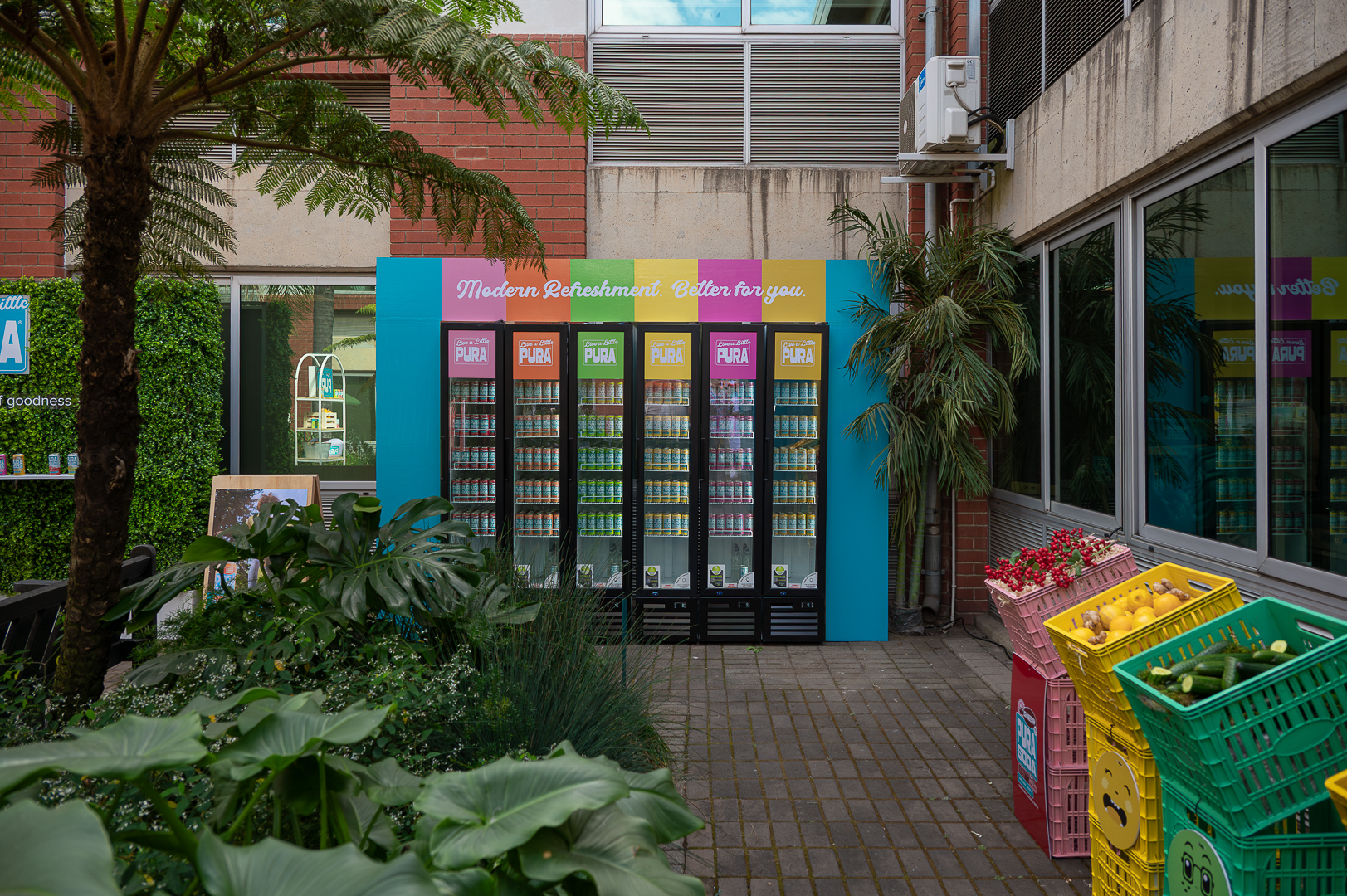 PURA Beverages Rebrands To Dominate The $600M ‘Modern Refreshment’ Boom ...