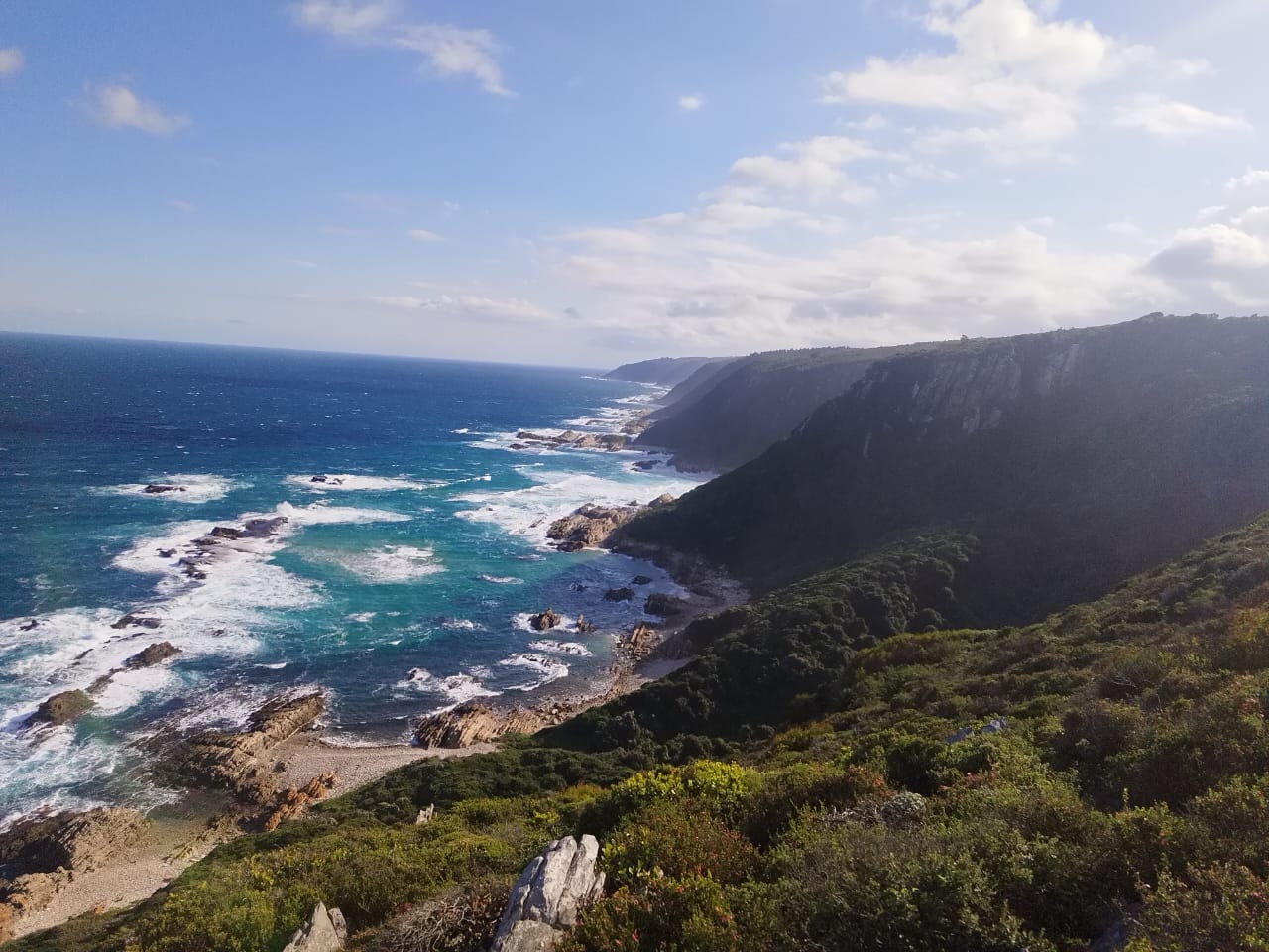 Marine Protectors Day: People, Communities, Groups Safeguard SA’s Rich ...