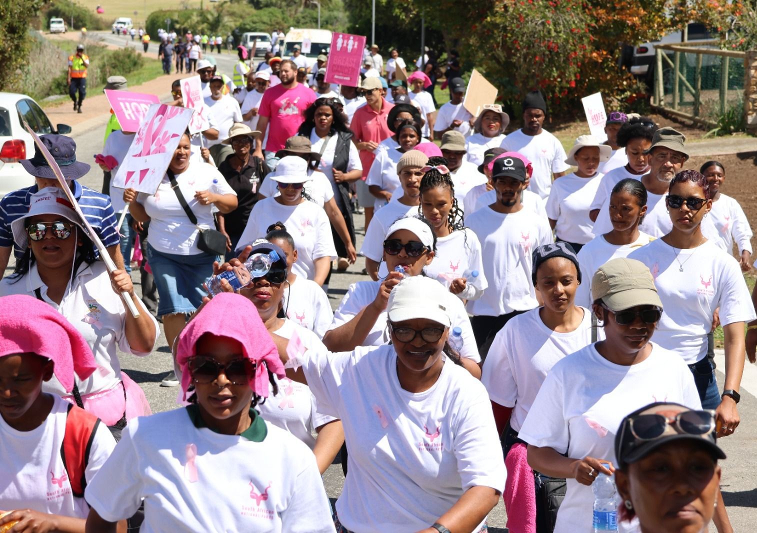 Cancer Awareness Walk: Hundreds Of Participants Turn Out - The Bulrushes