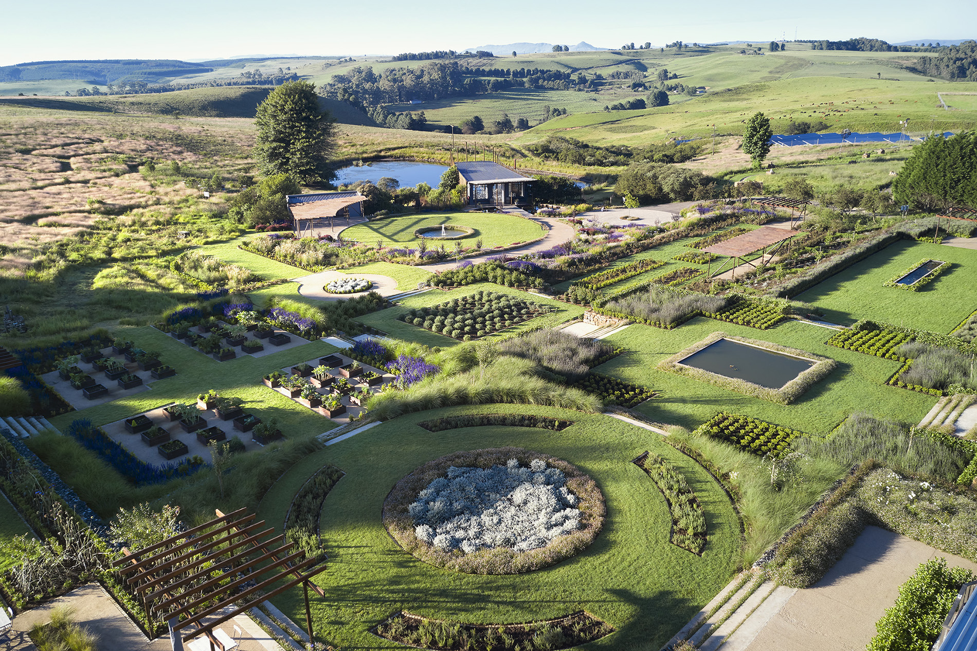 Brahman Hills Wins Best Of PMB & Midlands Readers’ Choice - The Bulrushes