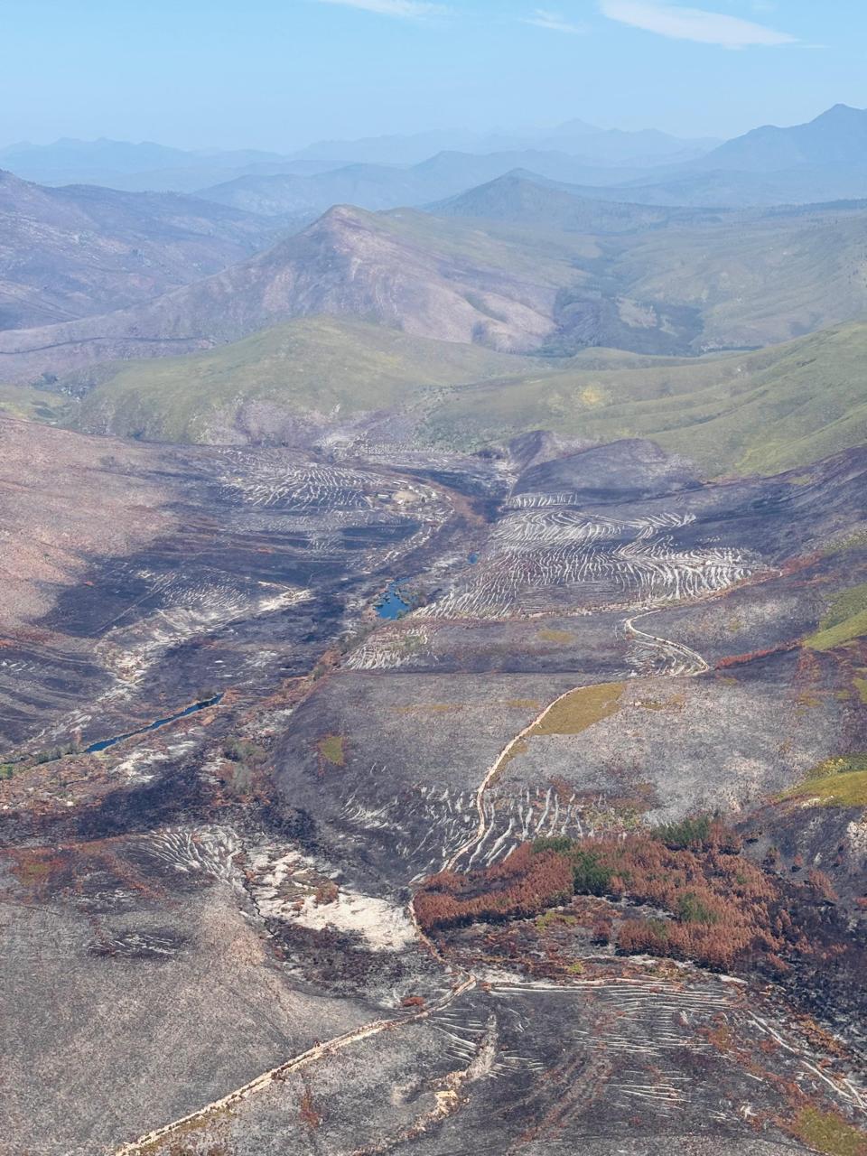 Wildfire Rages In The Keurbooms–Soetkraal Area, SANParks Blames ...