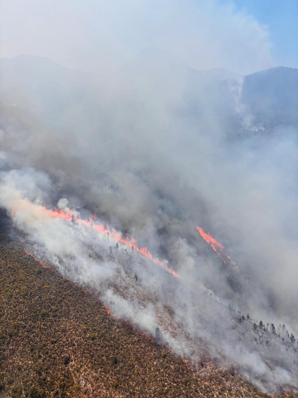 Wildfire Rages In The Keurbooms–Soetkraal Area, SANParks Blames ...