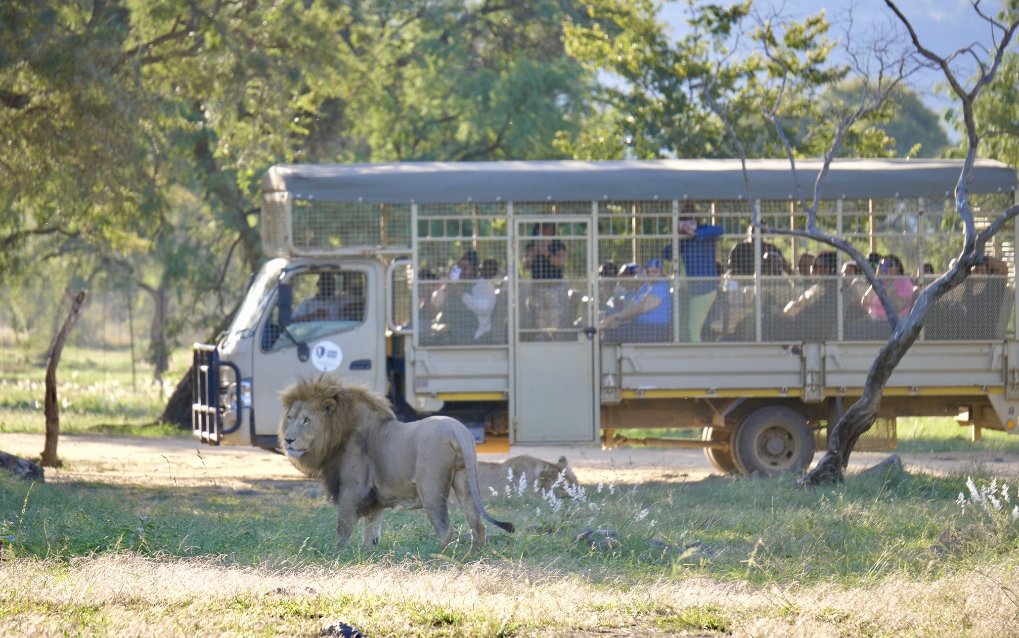 Bothongo Rhino & Lion Nature Reserve Offers Perfect Educational Start ...
