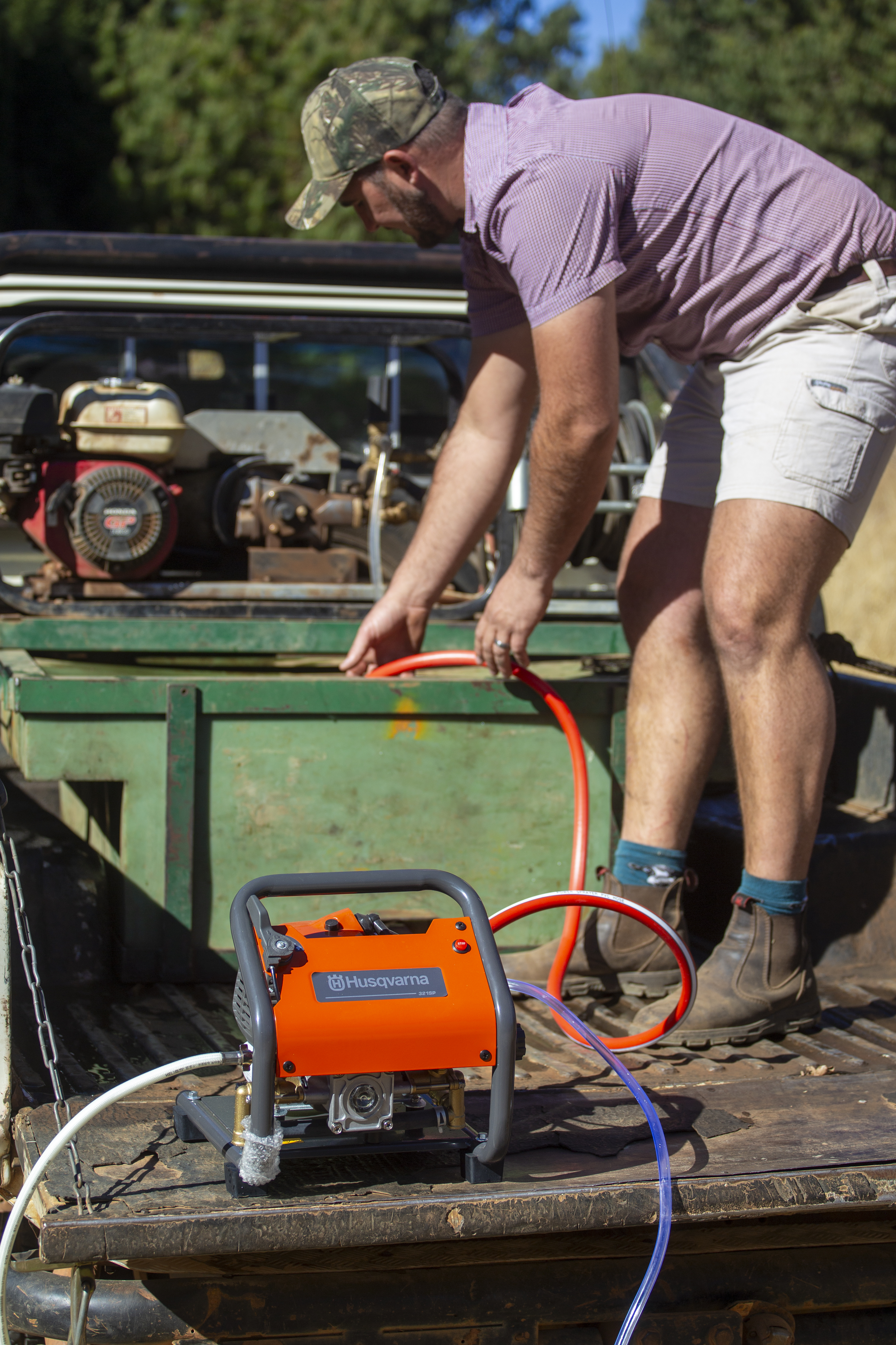 Fighting Foot-And-Mouth Disease: Supporting SA Farmers By Spraying For ...